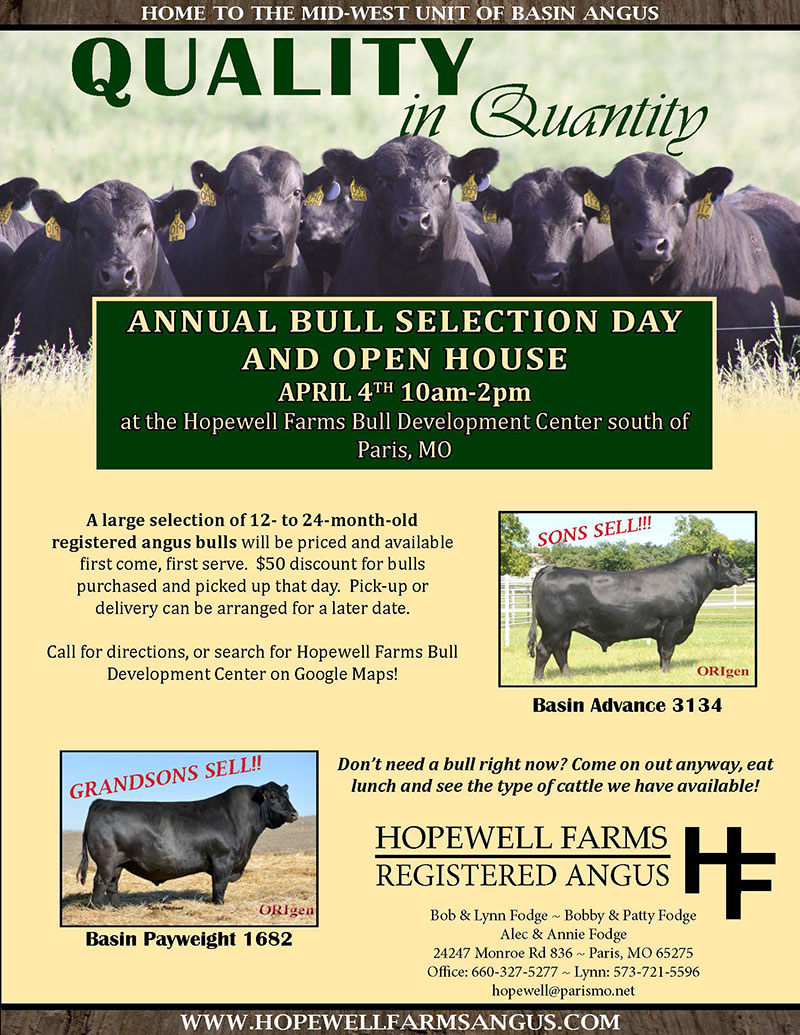 Sales - Hopewell Farms Angus - Angus Cattle in Missouri